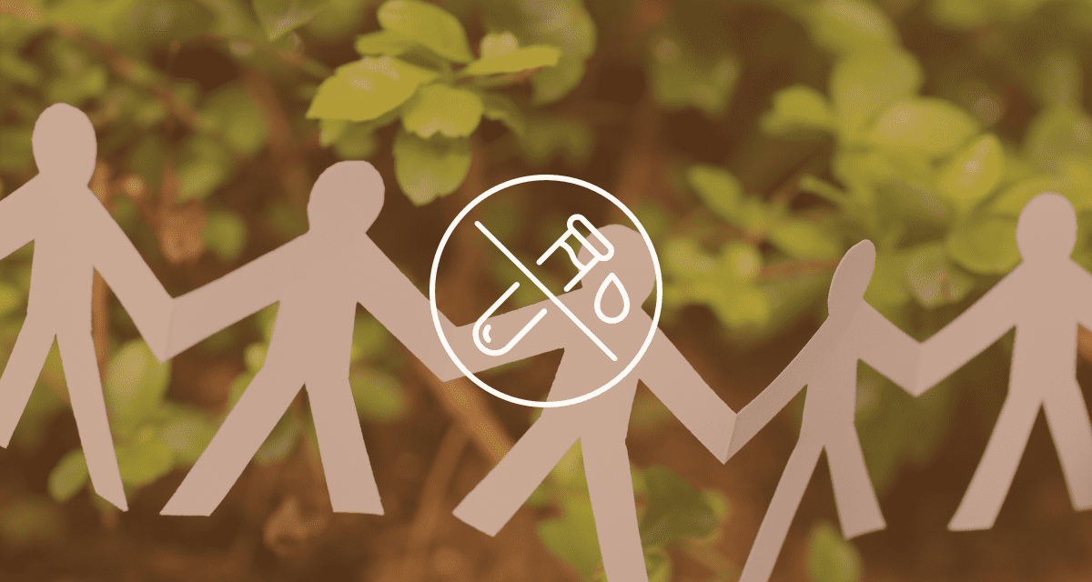 Eco-Friendly Cleaning Chemicals: How to Make the Switch and Embrace a ...